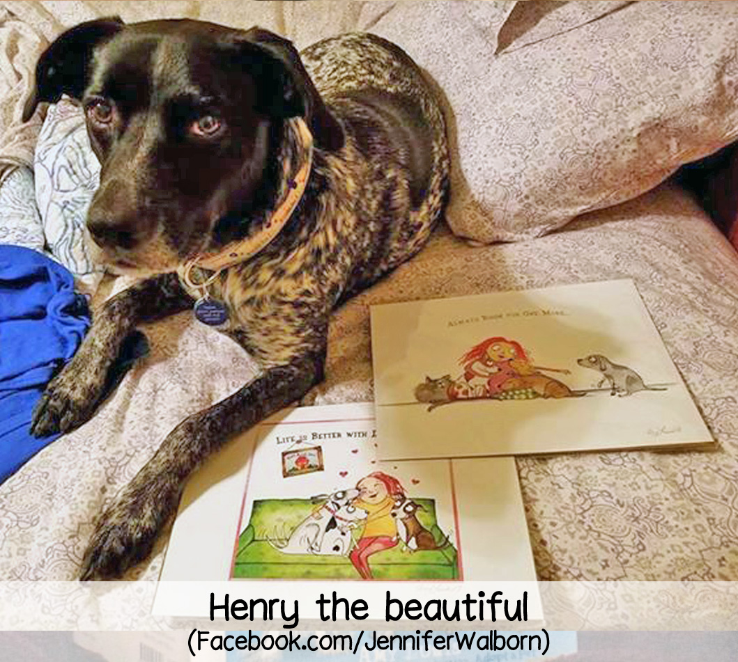 Howlers Hall of Fame – Red and Howling